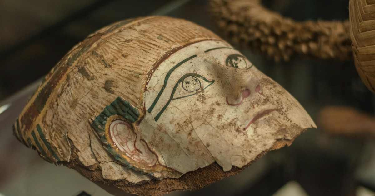 1.4 Million-Yr-Old Skull Discovered in Spanish Cave — Scientists Say It ...