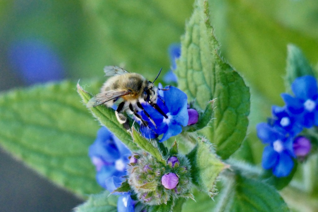 Map reveals areas with highest pollen count after hayfever warning issued
