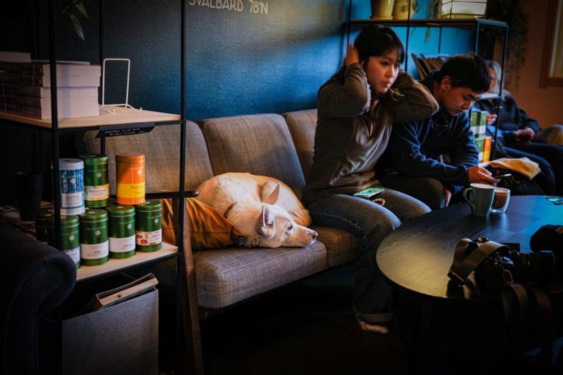 Gode tips til Longyearbyen