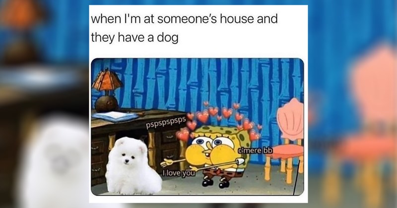 25+ Darling Dog Memes for Canine Enthusiasts (April 17, 2025)