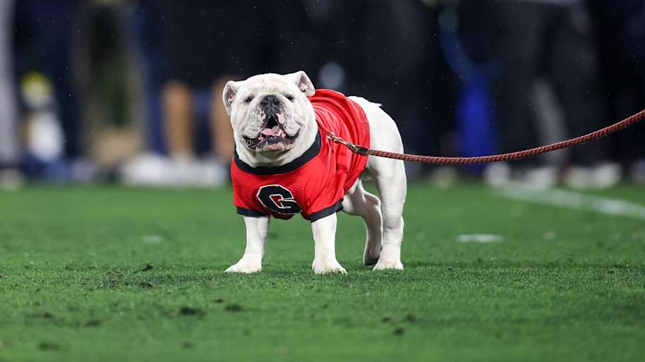 Georgia Bulldogs Offensive Lineman Enters Transfer Portal Following ...