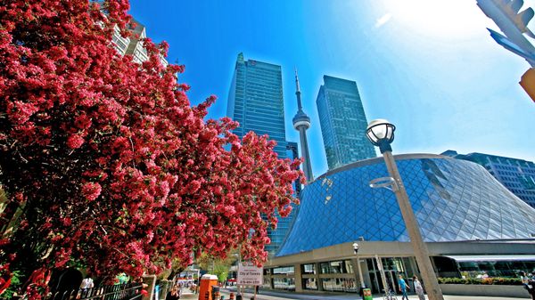 Here's what's open and closed in Toronto on Good Friday and the Easter ...