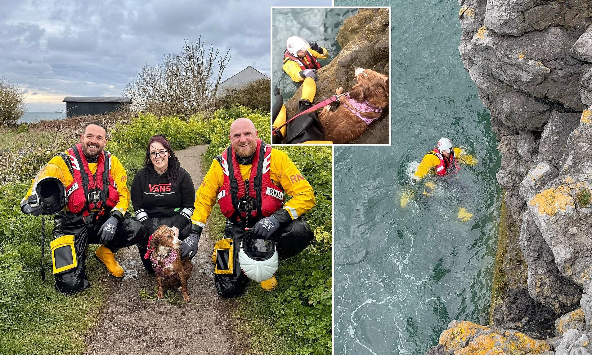 Moment over-exuberant dog chases his ball over a CLIFF and is rescued
