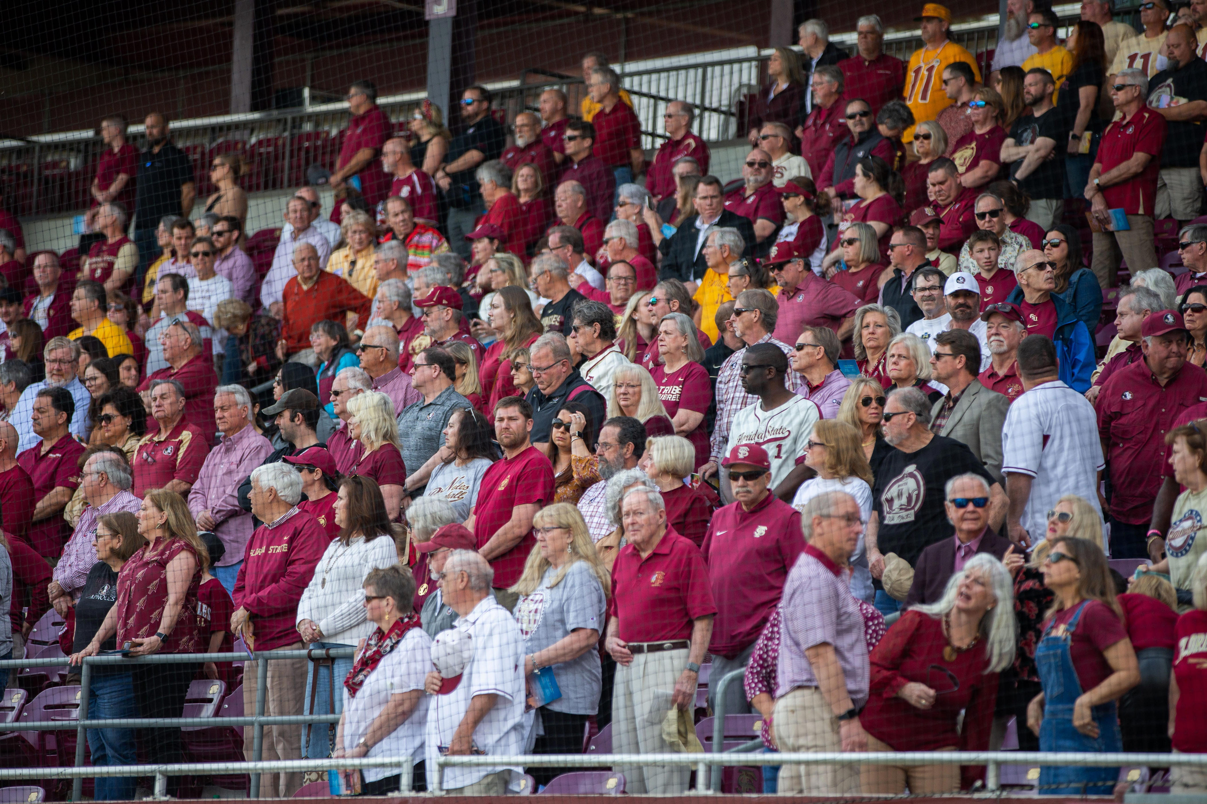 FSU baseball keeps climbing in D1Baseball Top 25 ranking