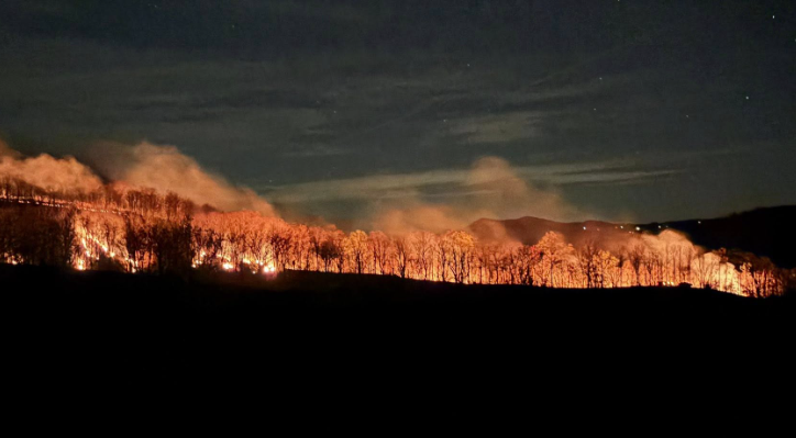 Surry County wildfire now 100% contained; Highway 89 reopens