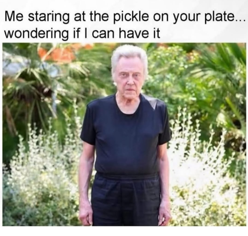 29 Pickle Memes So Good You’ll Relish Every One