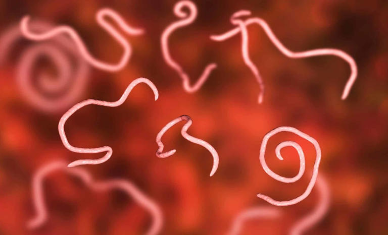 This Man Couldn’t Pee for Two Days — Doctors Pulled Out a 12-Inch Parasite