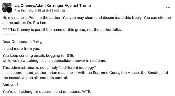 Liz Cheney didn't write letter urging Democratic Party to fight Trump's ...