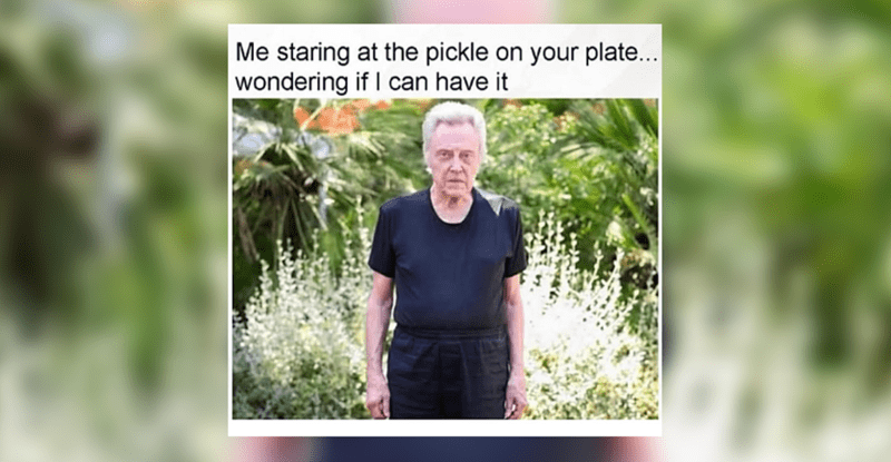 29 Pickle Memes So Good You’ll Relish Every One