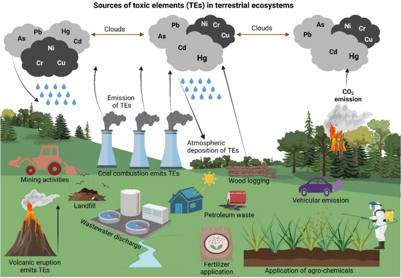 Study clarifies potential drivers of toxic elements along elevational ...