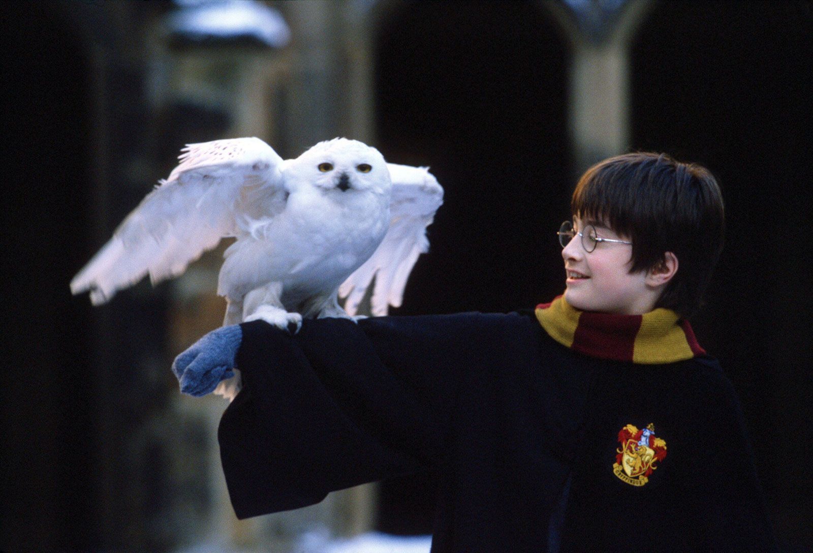 5 Stories We Want To See in HBO’s Harry Potter Remake