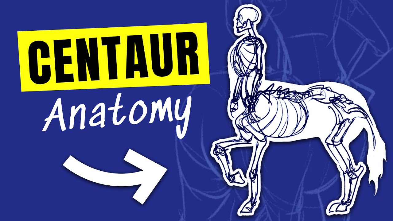 Horse Meets Human – How to Draw Fantasy Centaur Anatomy!