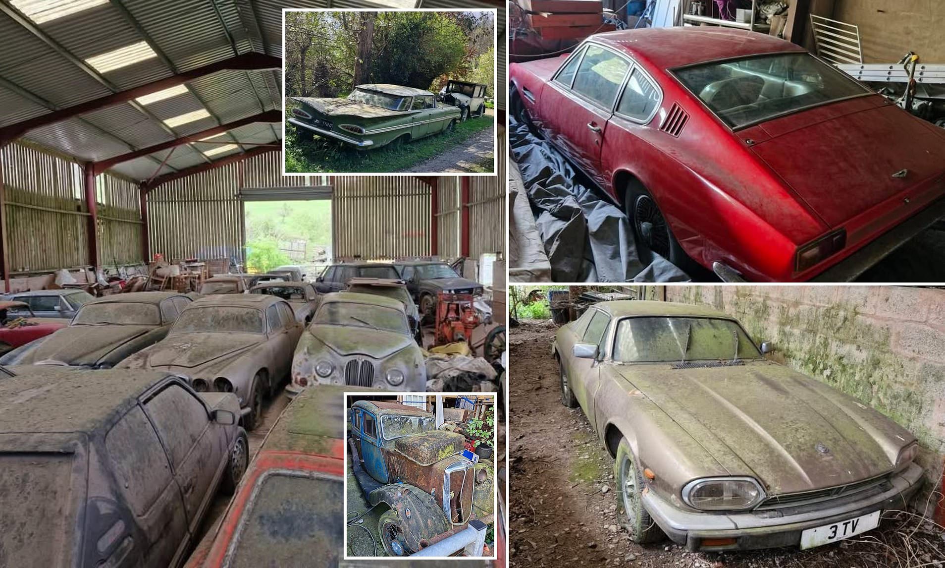 Secret Aladdin's cave of classic cars hidden in English countryside