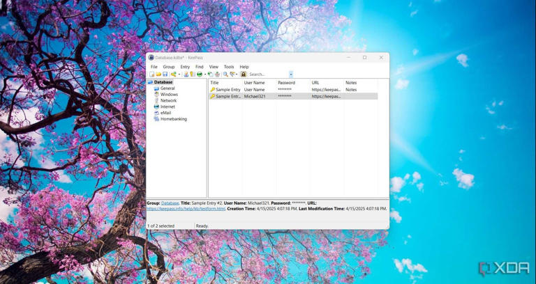 5 essential password security tips if you're a Windows 11 user