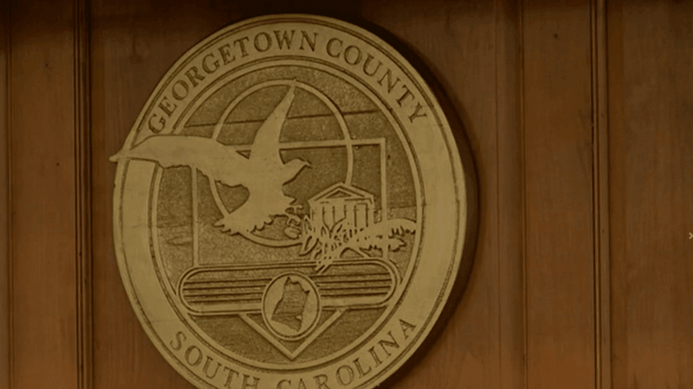 Georgetown Co. hidden gems set to be featured in SC's AG + art tour