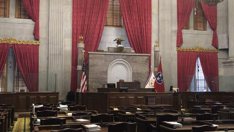 'Dismantle DEI' bill raises a ruckus in Tennessee House