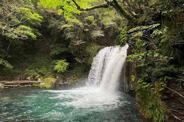 This Japanese Peninsula Is Considered the Birthplace of Wasabi—and It ...