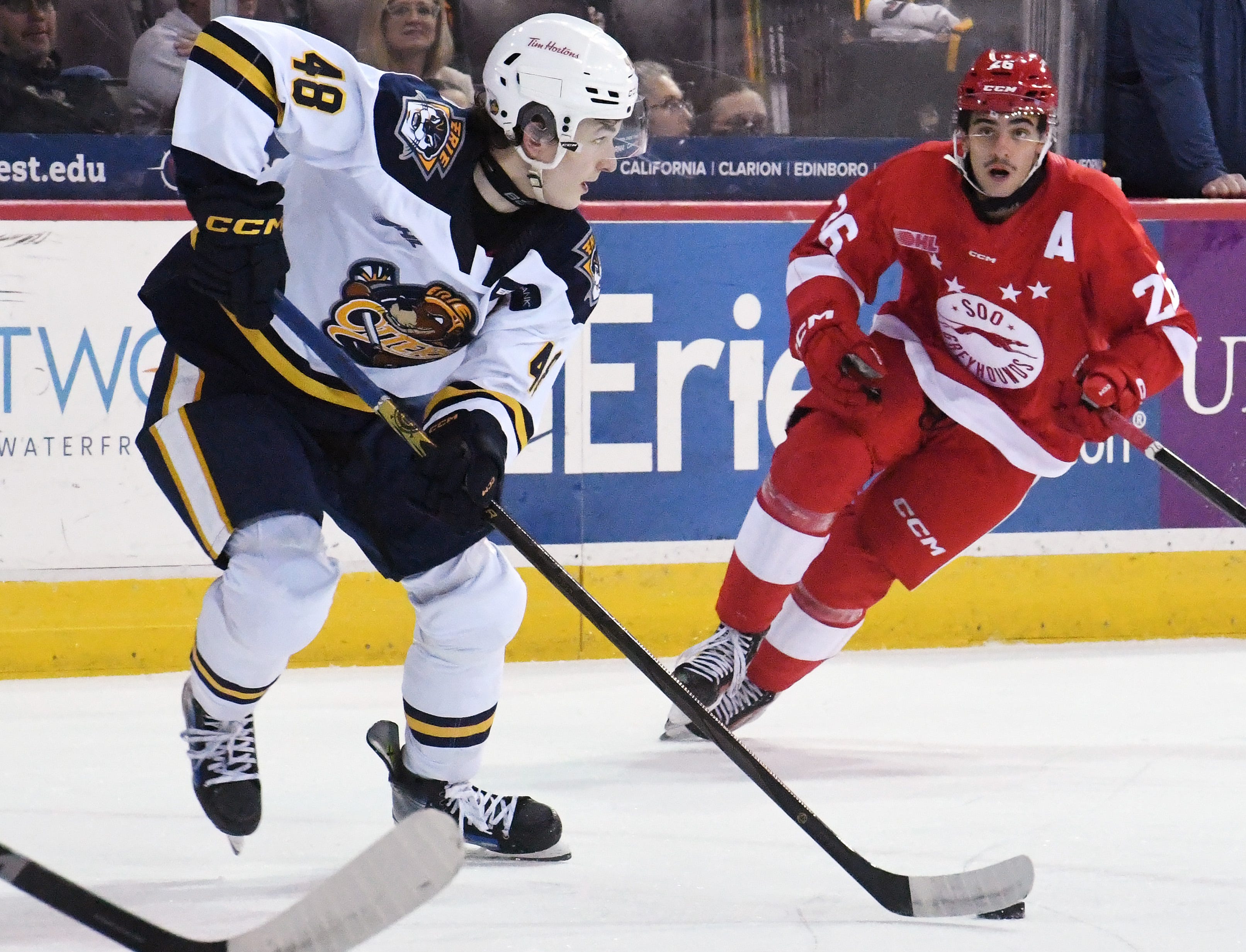 Anaheim Ducks trade Carey Terrance two months after signing Erie Otters ...