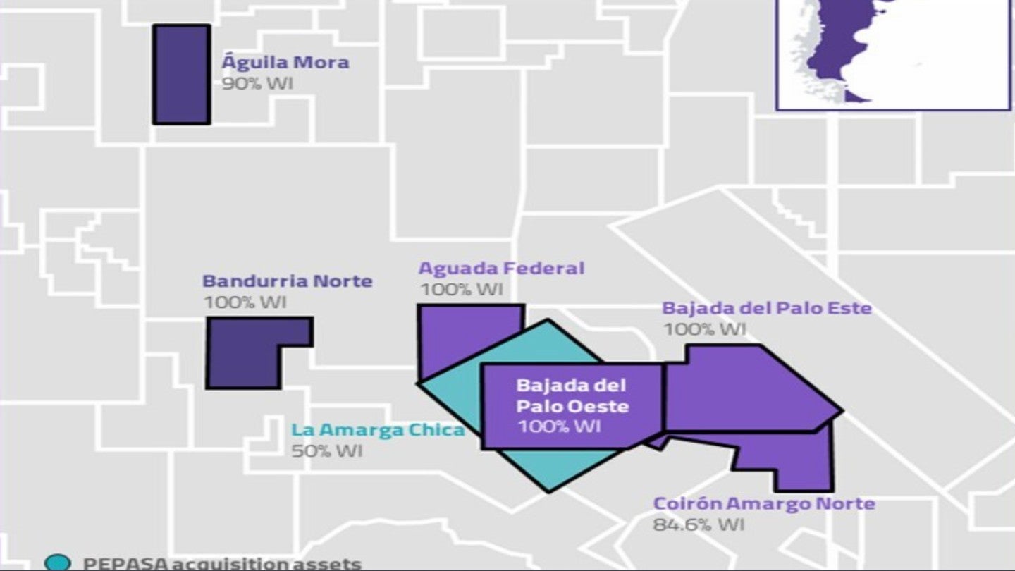 Vista Energy Argentina acquires Petronas Argentina