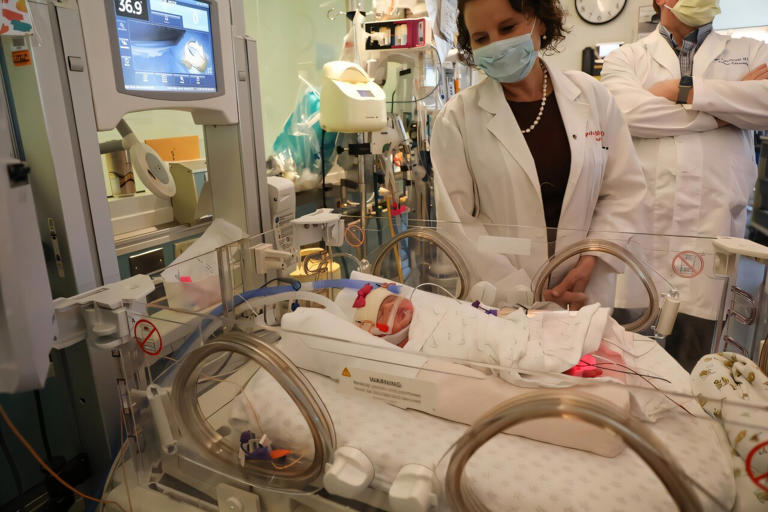 Study identifies new method for improving lung growth and function in ...