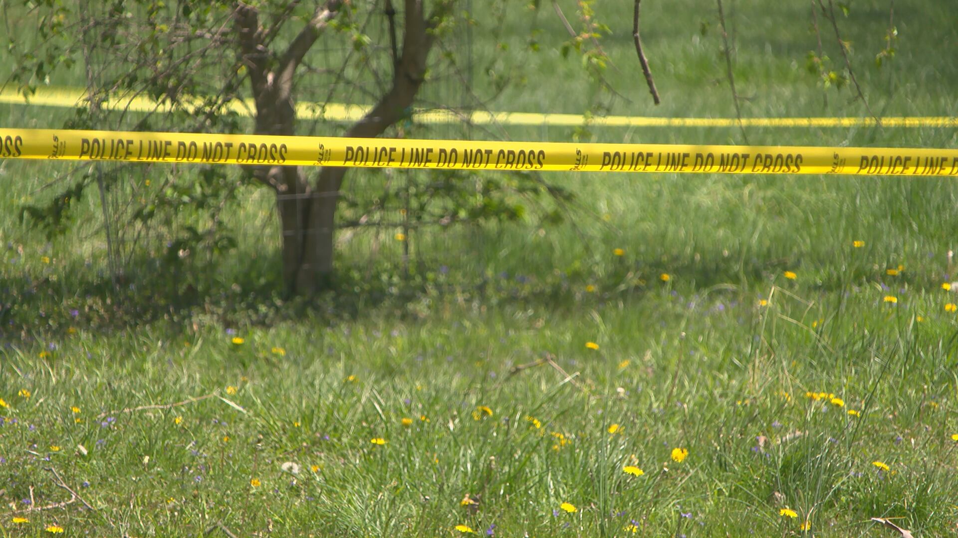 ‘I was in fear of my life’: Court documents reveal new details from New ...