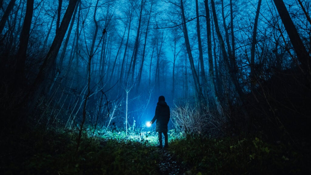 The Secret to Why You're Afraid of the Dark Could Lie in Art