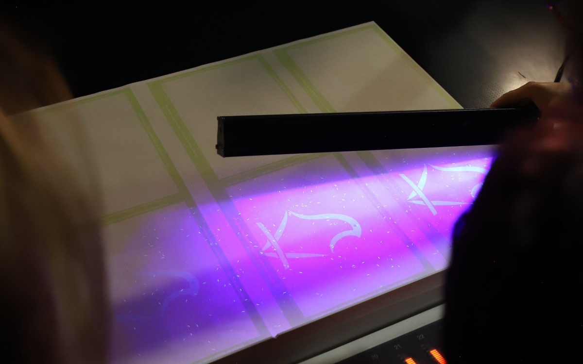 Elección Judicial | Más de 136 mil personas presentan solicitud ante ...