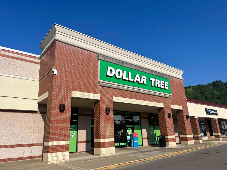 6 beauty buys at Dollar Tree that are shockingly good