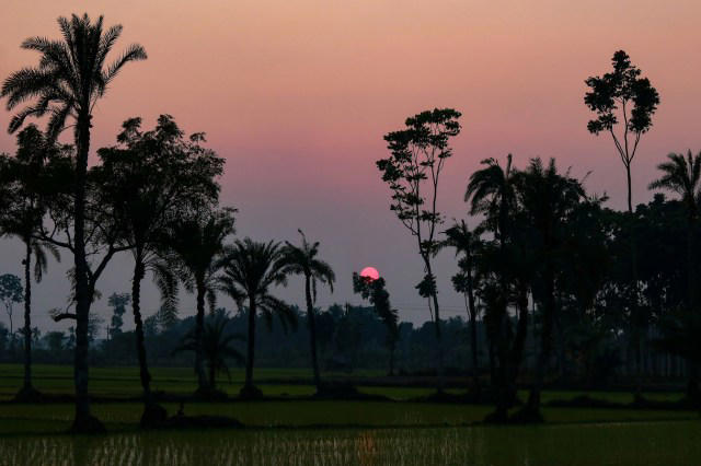 Researchers make breakthrough in fight against invisible threat spewing ...