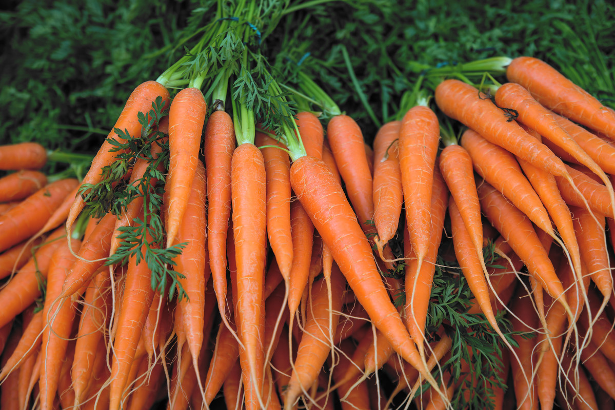 The Super Easy Carrot Recipe Fans Say They ‘Need at Least Fifty Plates ...