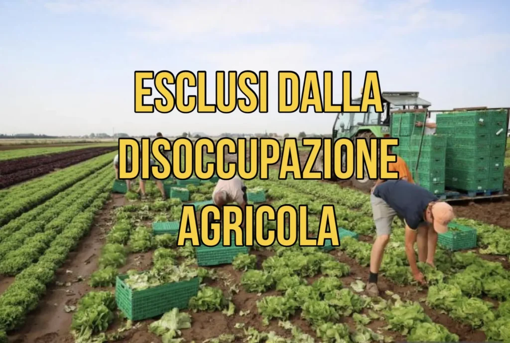 Disoccupazione agricola, con gli accrediti partono i primi problemi ...