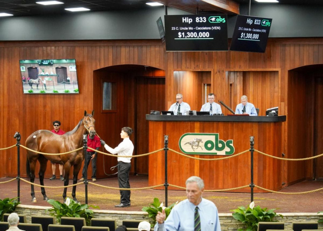 Uncle Mo Colt Brings $1.3 Million To Highlight Day 3 Of OBS Spring Sale