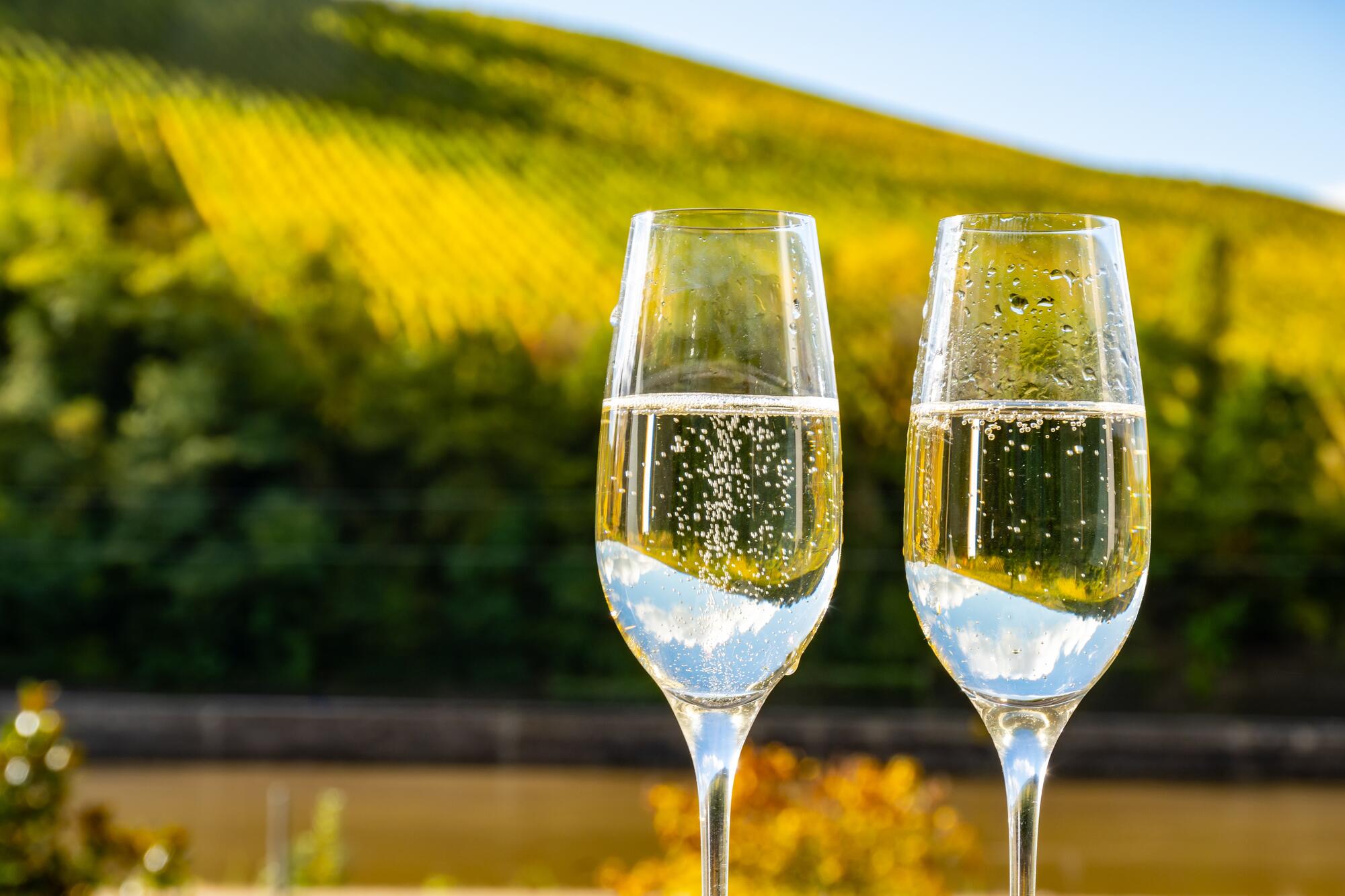 Quanto costa il Prosecco più caro del mondo? Il maxi prezzo di un solo ...