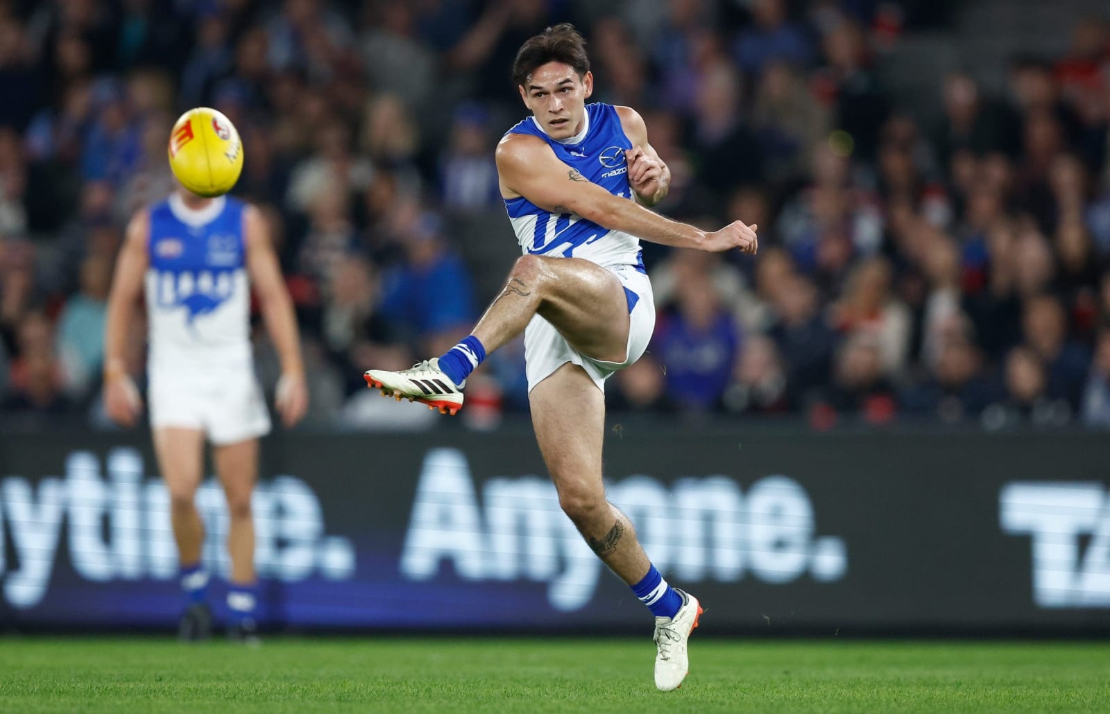 North Melbourne utility Zac Fisher injured against Blues