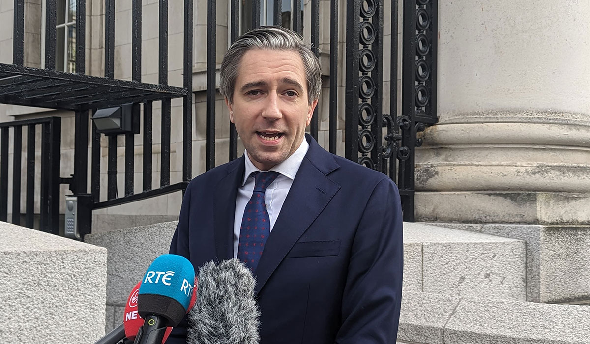 Simon Harris must ‘switch style’ to stop party slide according to Fine ...