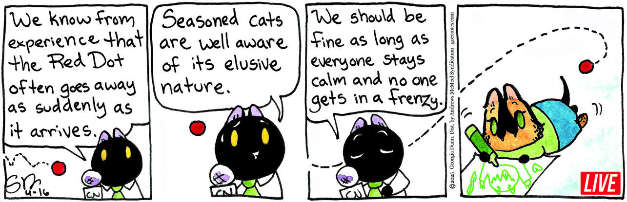 Breaking Cat News by Georgia Dunn Breaking Cat News by Georgia Dunn
