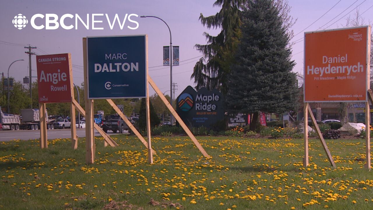 A close race in Pitt Meadows-Maple Ridge has voters carefully ...