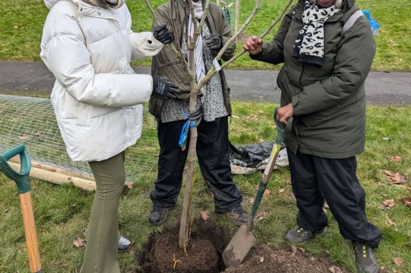 For the love of Benjamin Zephaniah - poems planted among the trees at ...