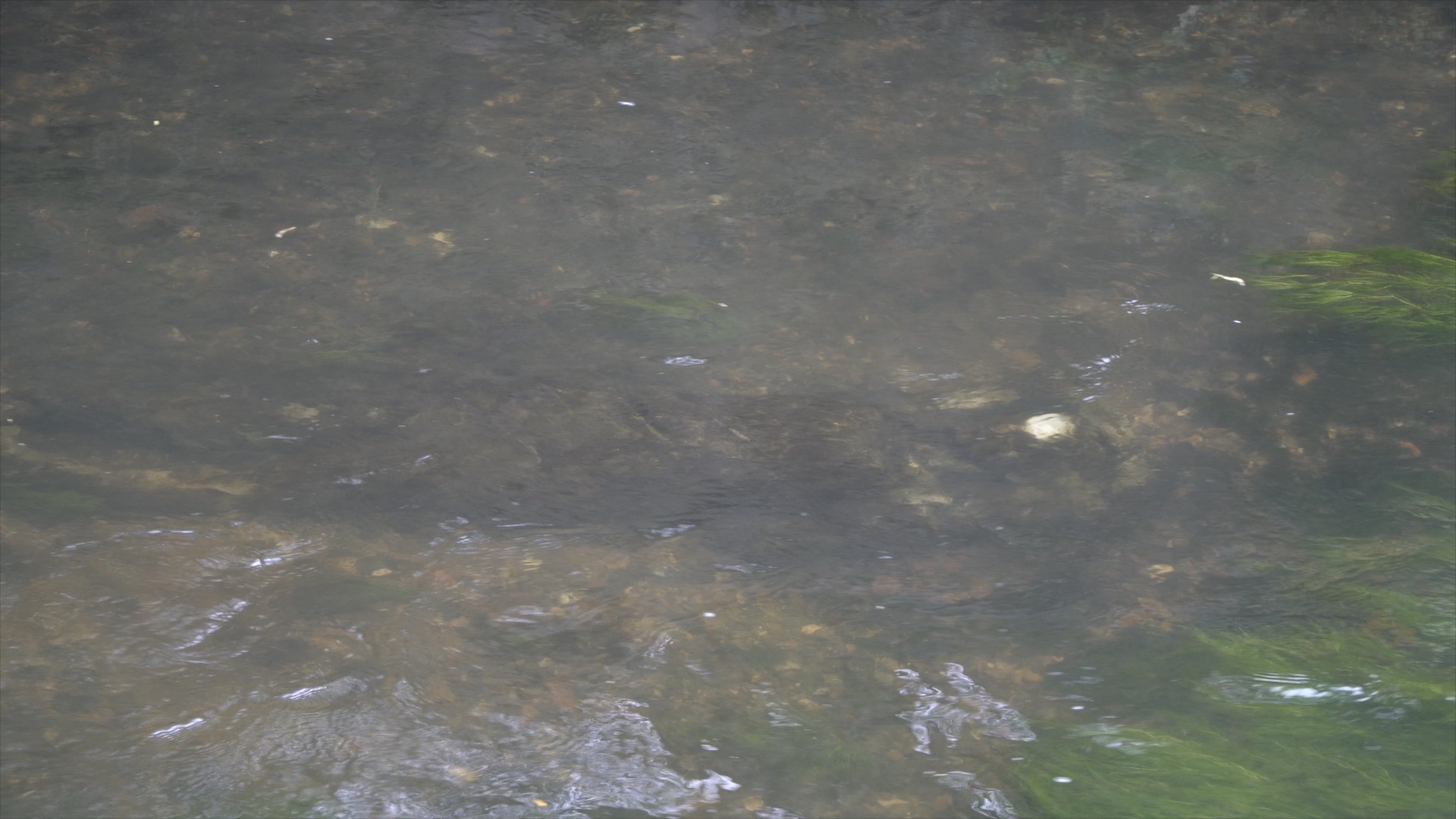 Canterbury gives their views on the state of the underwater Alluvia statue