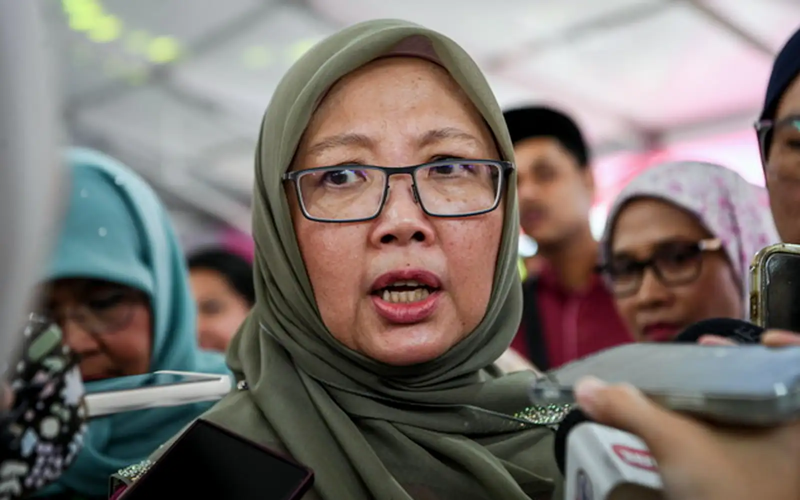 No ‘hidden hands’ influencing PKR division elections, says Zaliha
