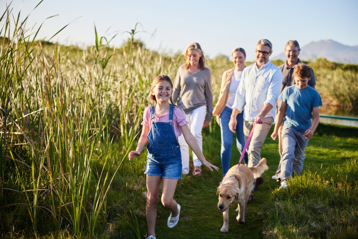 21 best family-friendly walks, including tree-climbing, waterfalls and ...