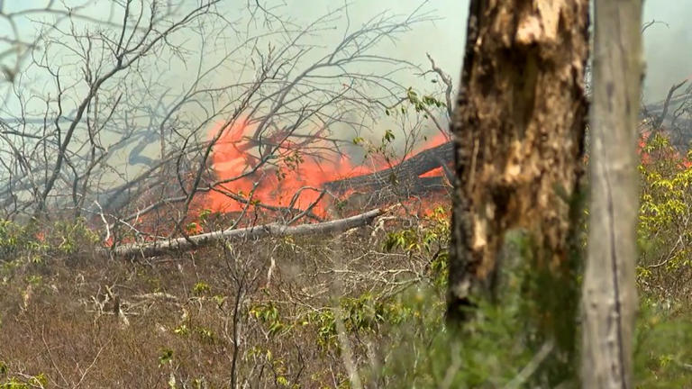 Thompson Hollow fire spreads to over 2,000 acres despite rain