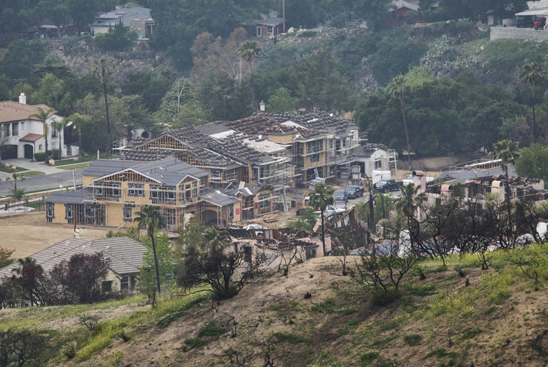 Left alone by humans, wildlife returns to the Eaton Fire burn area