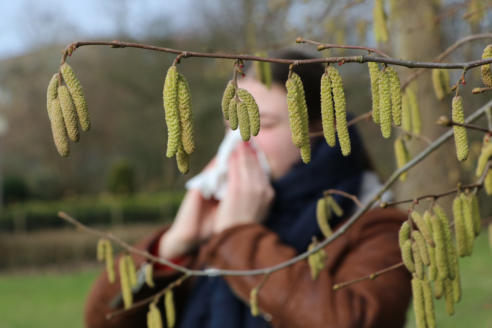 These foods can make your pollen allergy worse