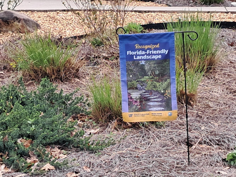 Invite a Master Gardener over to help you grow a Florida-Friendly landscape