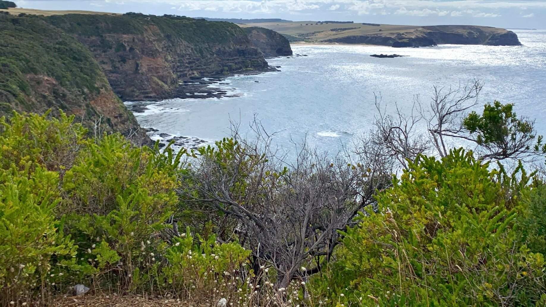 Man drowns after being swept off rocks at Cape Schanck on Victoria's ...