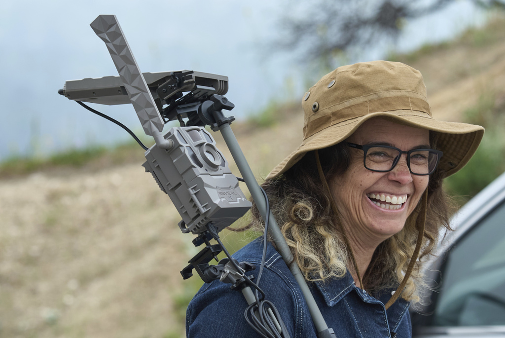 Left alone by humans, wildlife returns to the Eaton Fire burn area