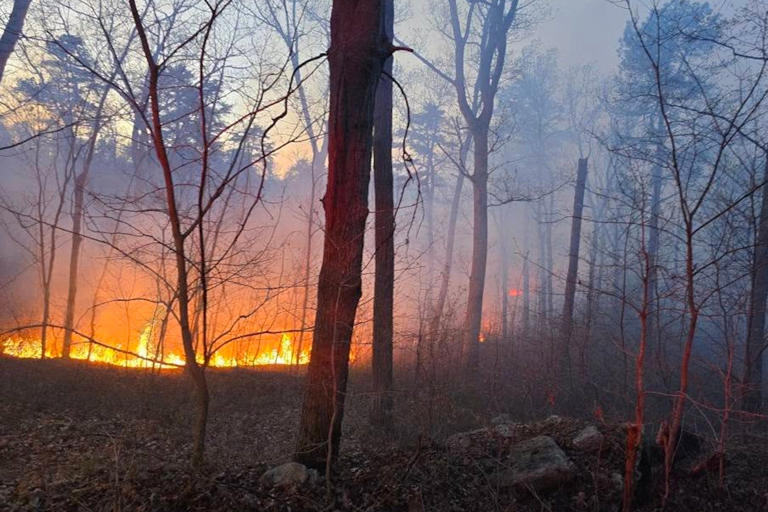 Over 1,000 acres burning Friday between two fires in Michaux State Forest