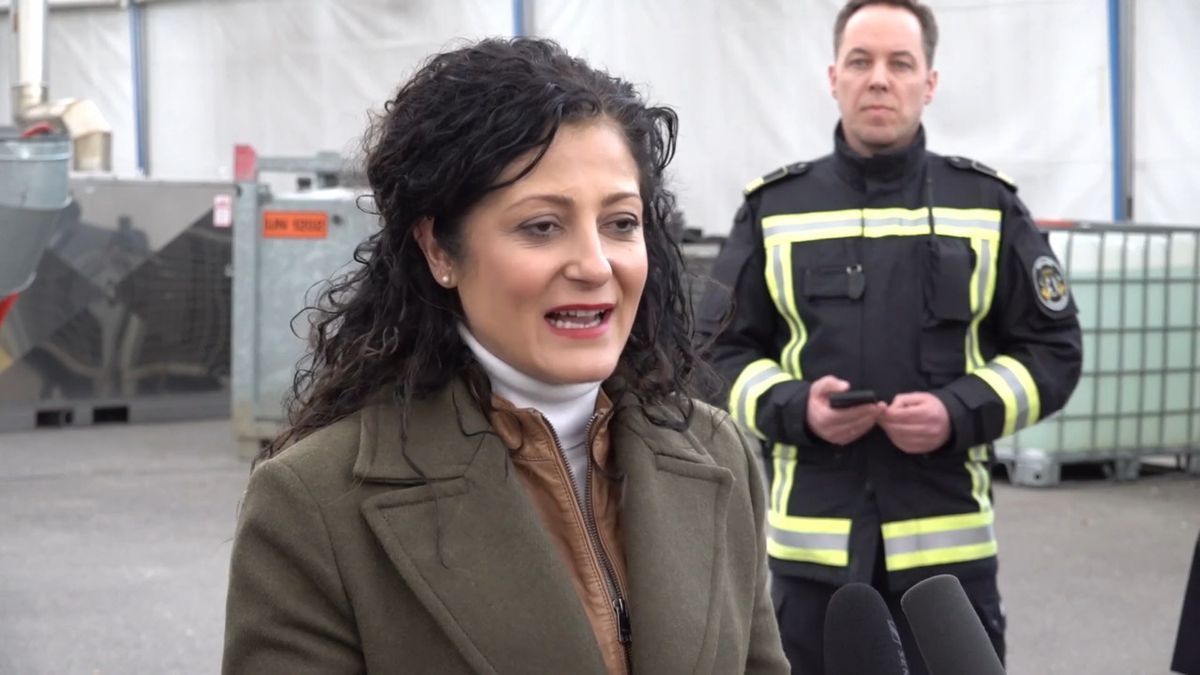 Senatorin nennt Tesla «Nazi-Auto» - Empörung in Brandenburg