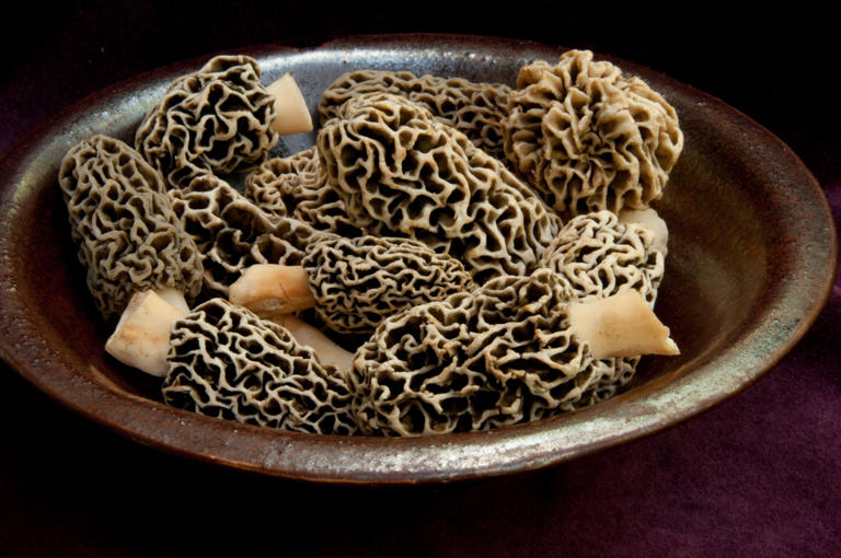 Why you should be cooking radishes and morel mushrooms right now